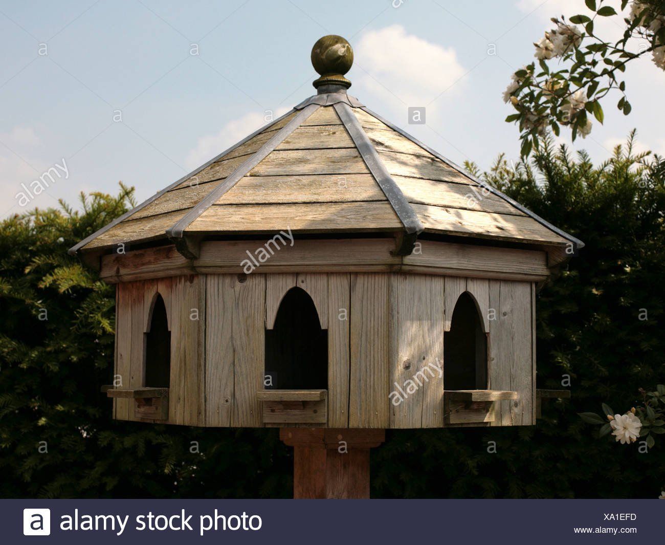 Dove Cote High Resolution Stock Photography and Images - Alamy