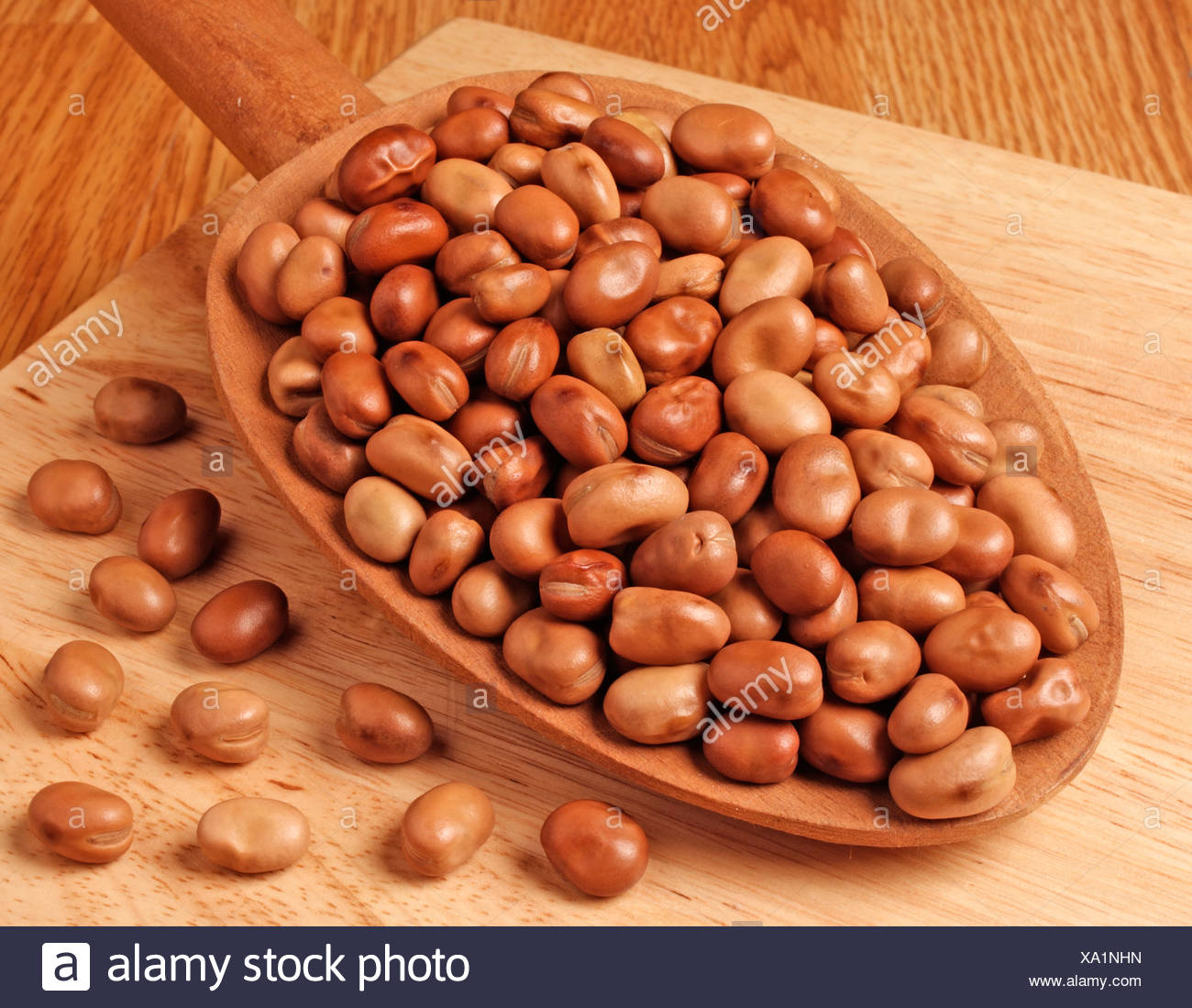 Foul Beans Stock Photos & Foul Beans Stock Images - Alamy