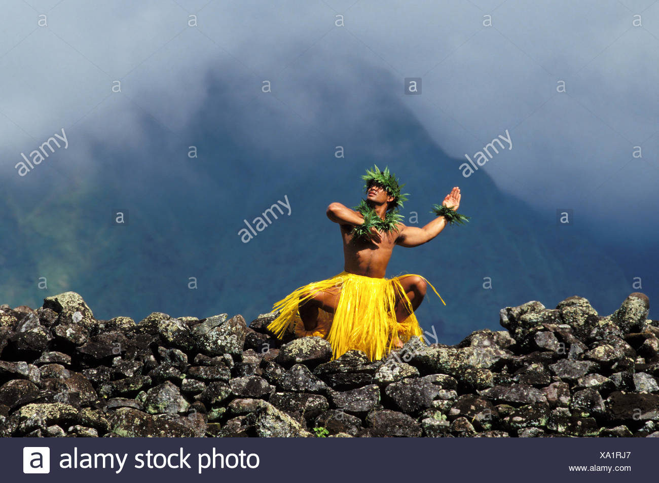 Hawaii Male Hula Dancer On High Resolution Stock Photography and Images ...