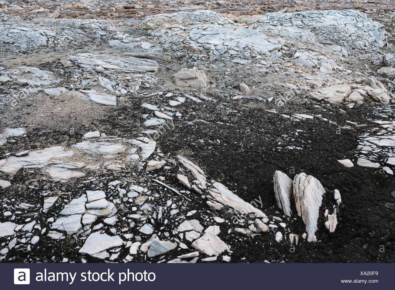 Limestone Soil Stock Photos & Limestone Soil Stock Images - Alamy