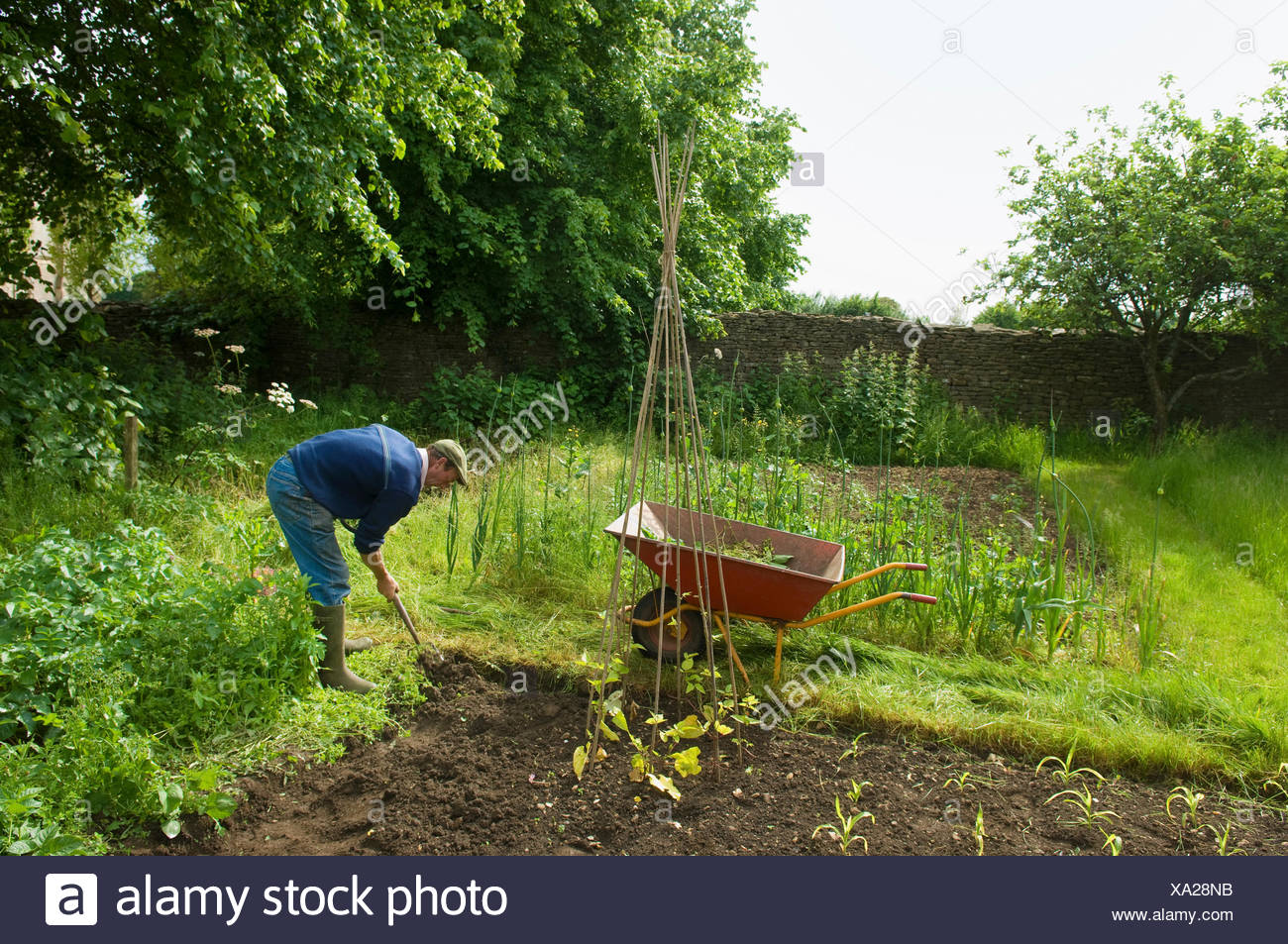 Planting Plants High Resolution Stock Photography and Images - Alamy
