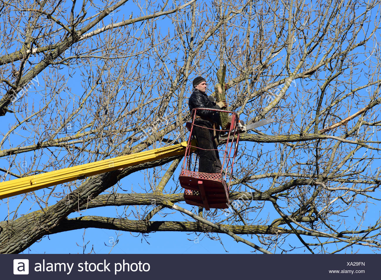 Trimming Tree Lift Arm High Resolution Stock Photography and Images - Alamy