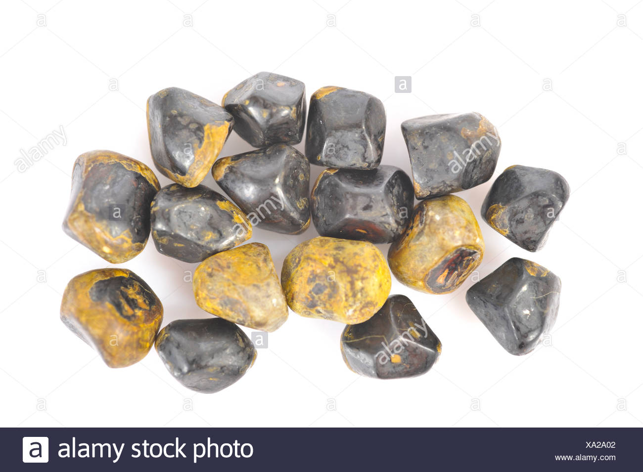 Calculi High Resolution Stock Photography and Images - Alamy