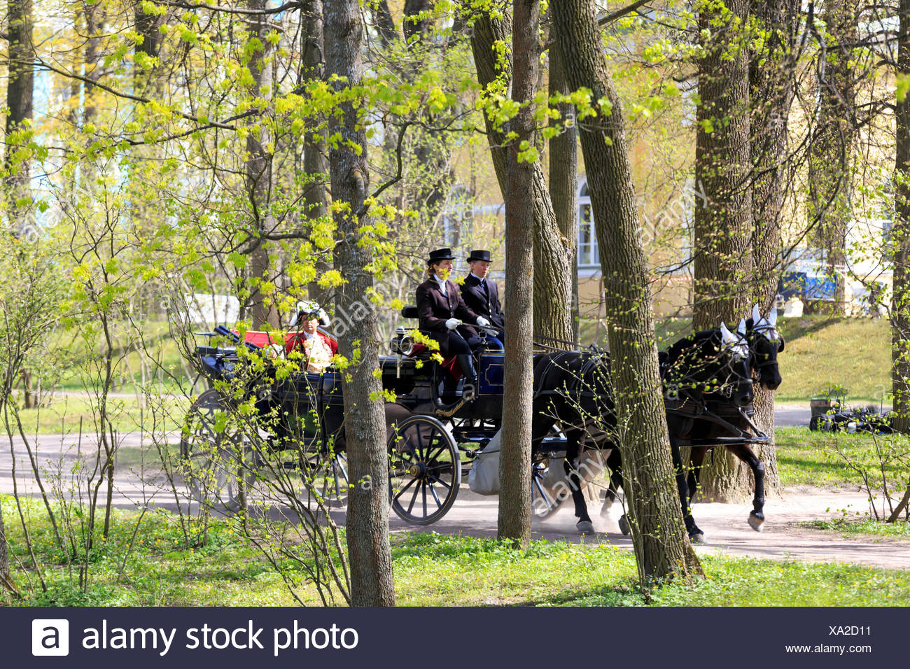 Men Pulling Carriage High Resolution Stock Photography and Images - Alamy