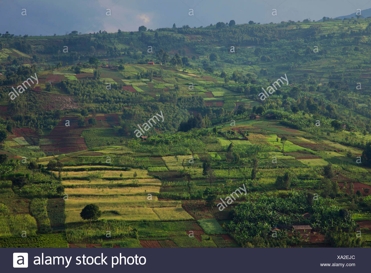 Burundi Landscape High Resolution Stock Photography and Images - Alamy