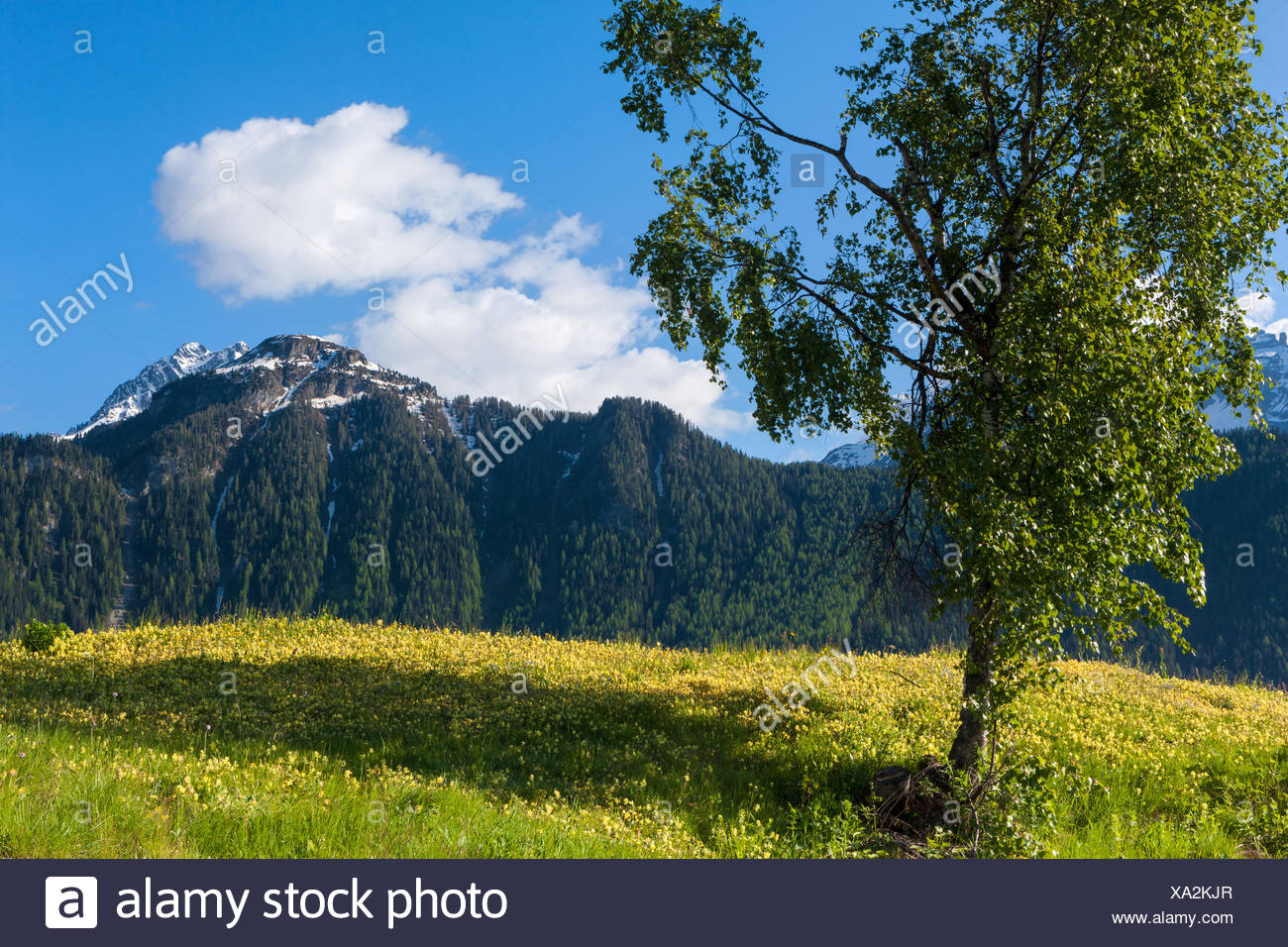 Lower Engadine High Resolution Stock Photography and Images - Alamy