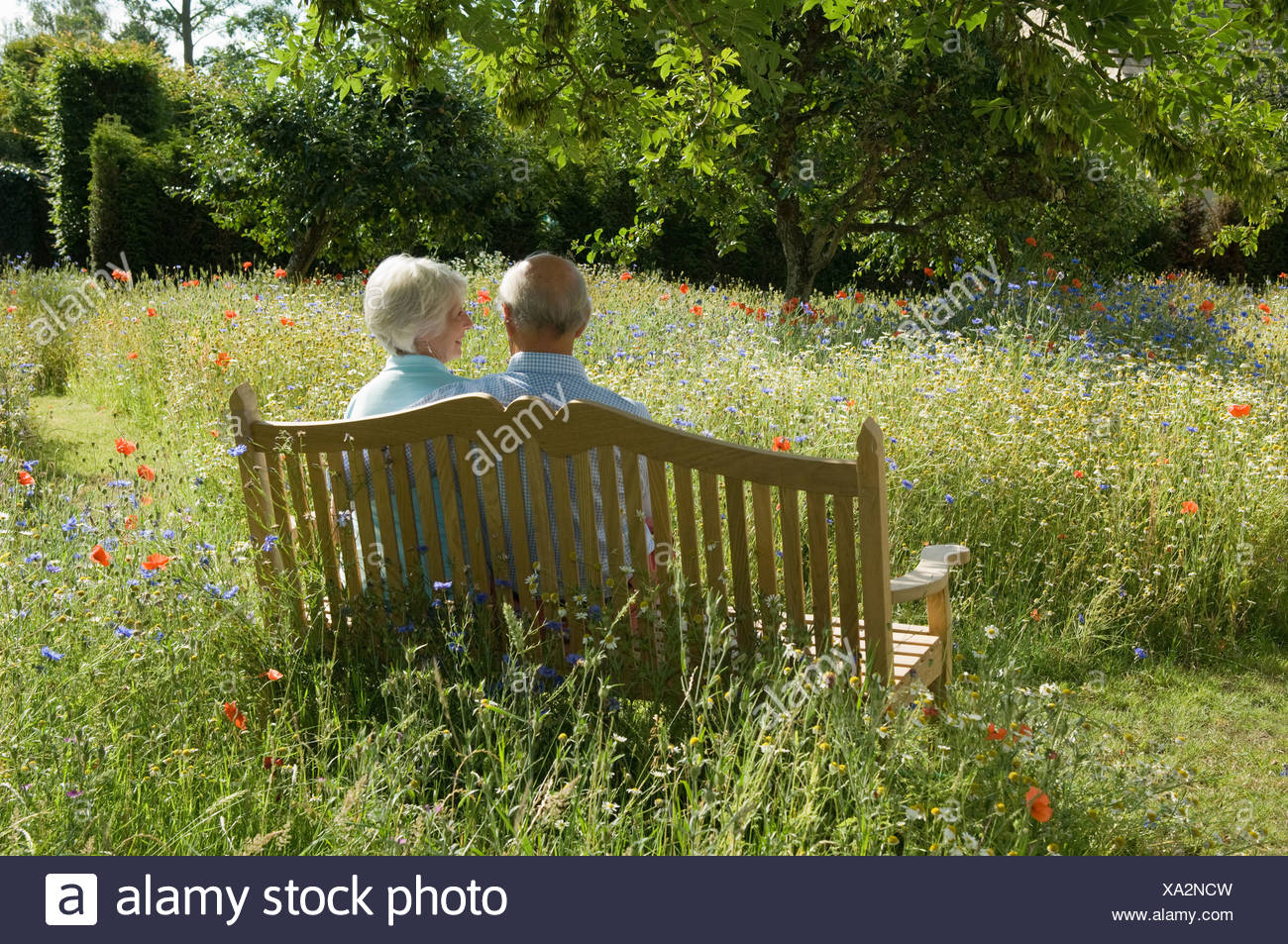 Older People Sitting On Bench Stock Photos & Older People Sitting On ...