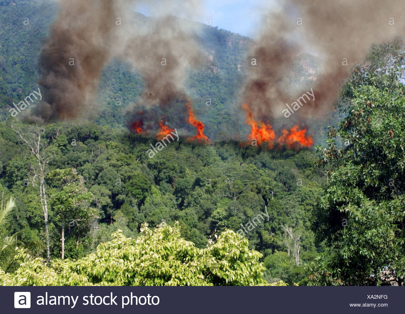 Slash High Resolution Stock Photography and Images - Alamy