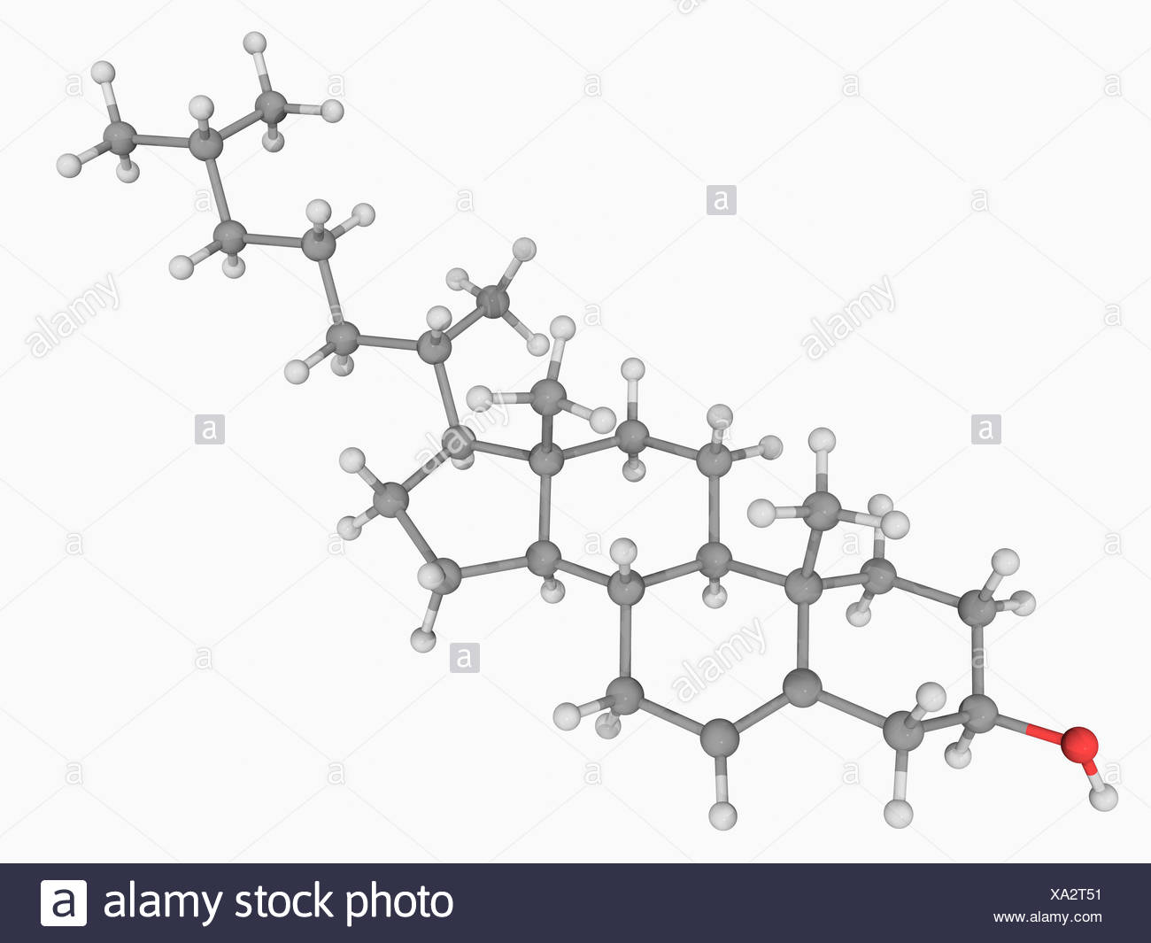 Cholesterol Molecular Structure High Resolution Stock Photography and ...