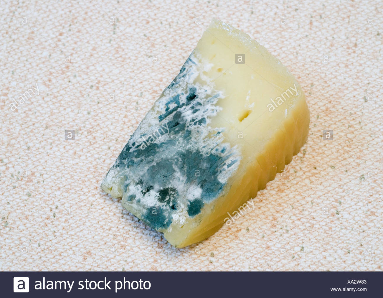 Rotten Cheese Stock Photos & Rotten Cheese Stock Images - Alamy