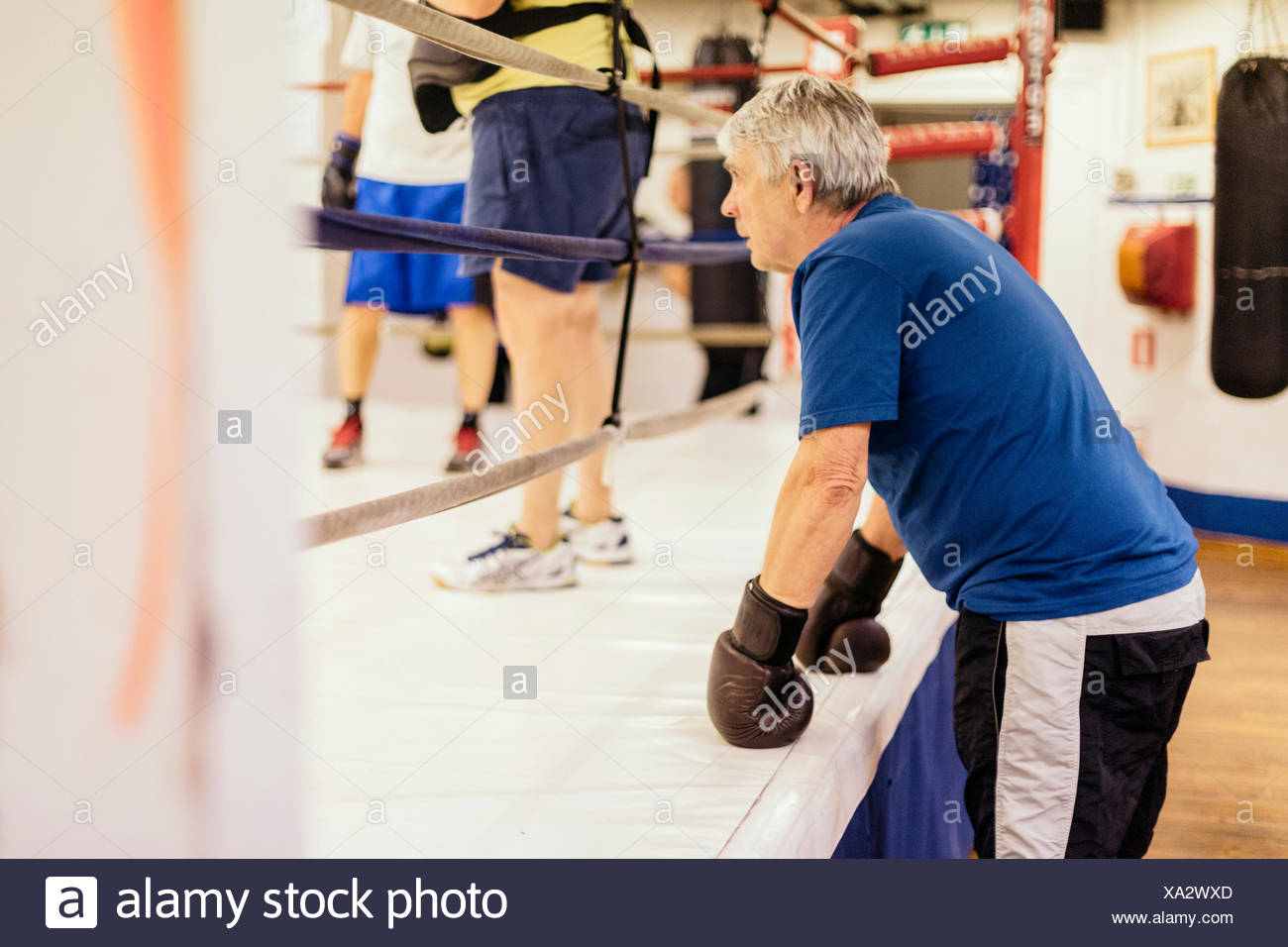 Person Boxing High Resolution Stock Photography and Images - Alamy