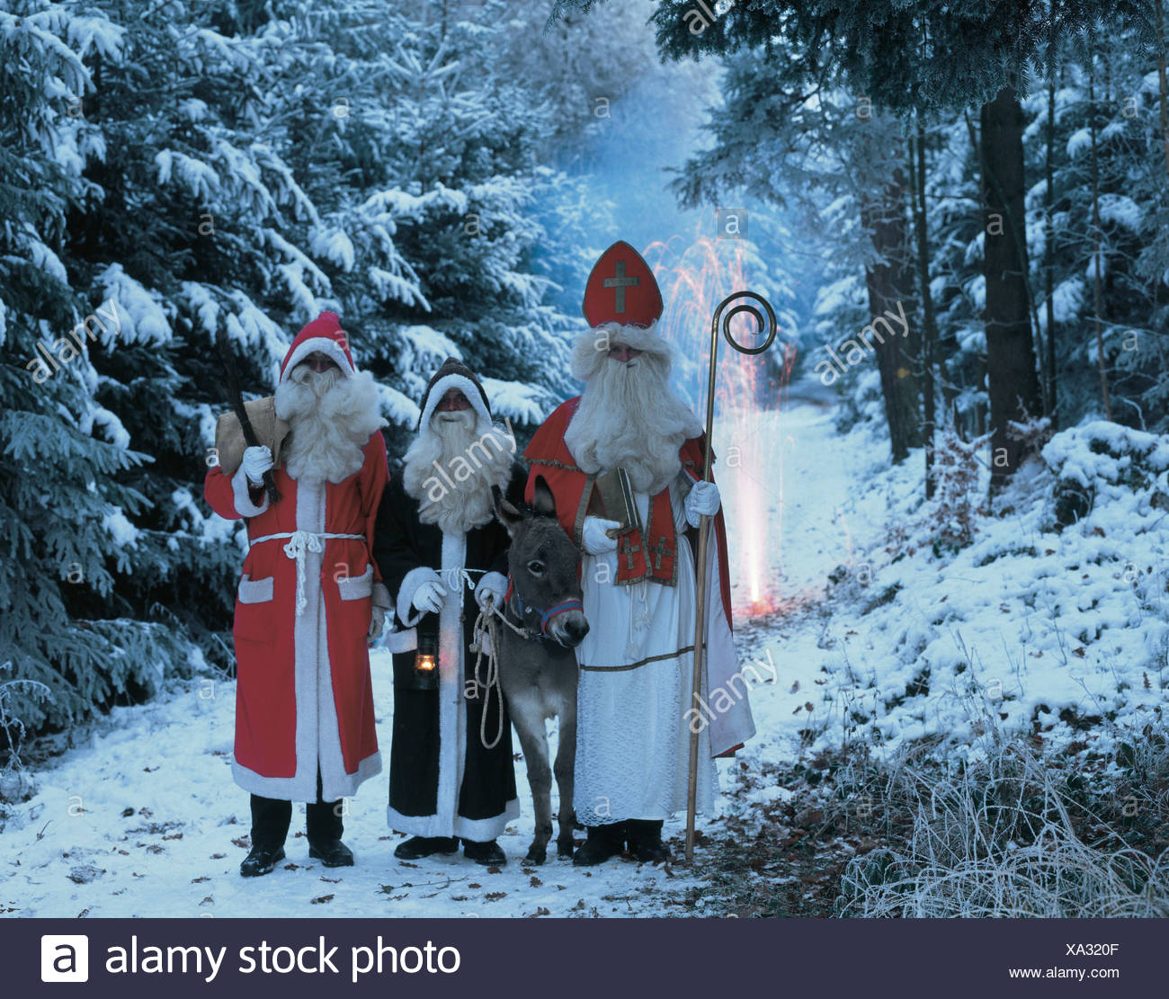 Donkey Wood High Resolution Stock Photography and Images - Alamy