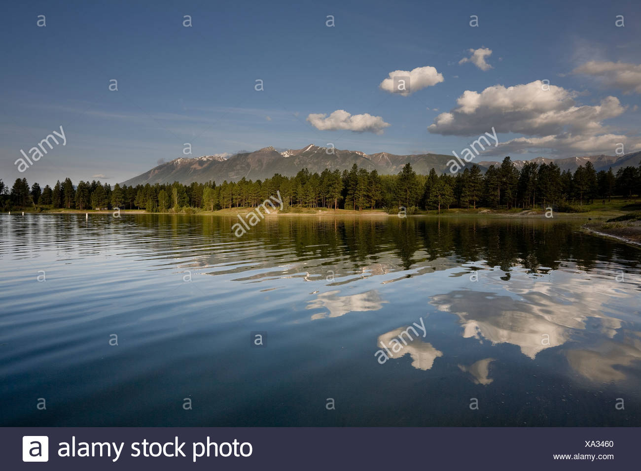 Kootenay Lake Provincial Park High Resolution Stock Photography and ...
