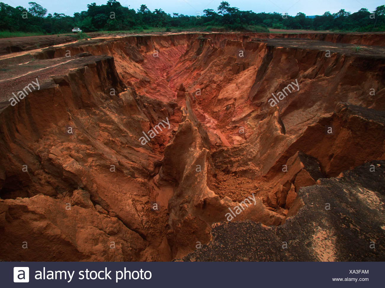 Soil Erosion Deforestation