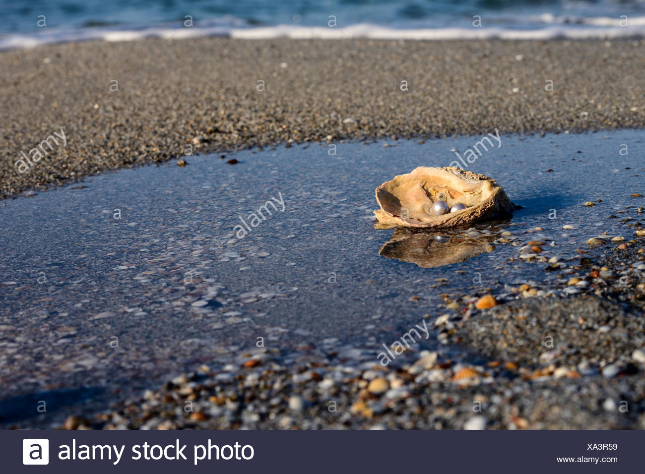 Australian Pearls High Resolution Stock Photography and Images - Alamy