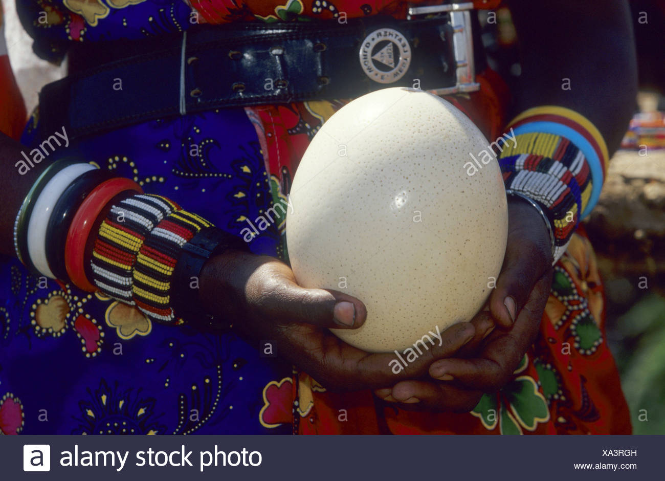 Ostrich Egg Hand High Resolution Stock Photography and Images - Alamy