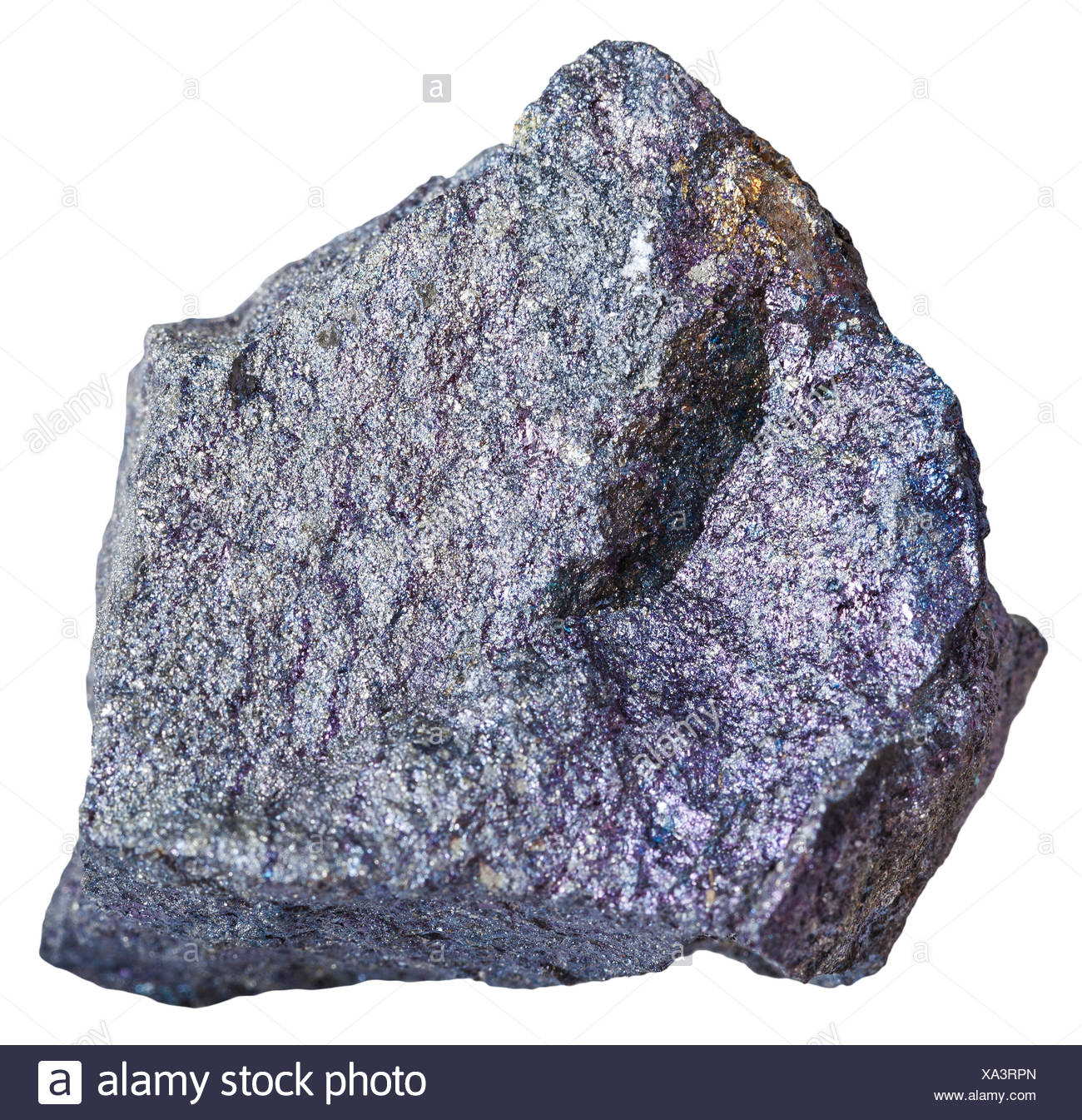 Peacock Copper Stock Photos & Peacock Copper Stock Images - Alamy