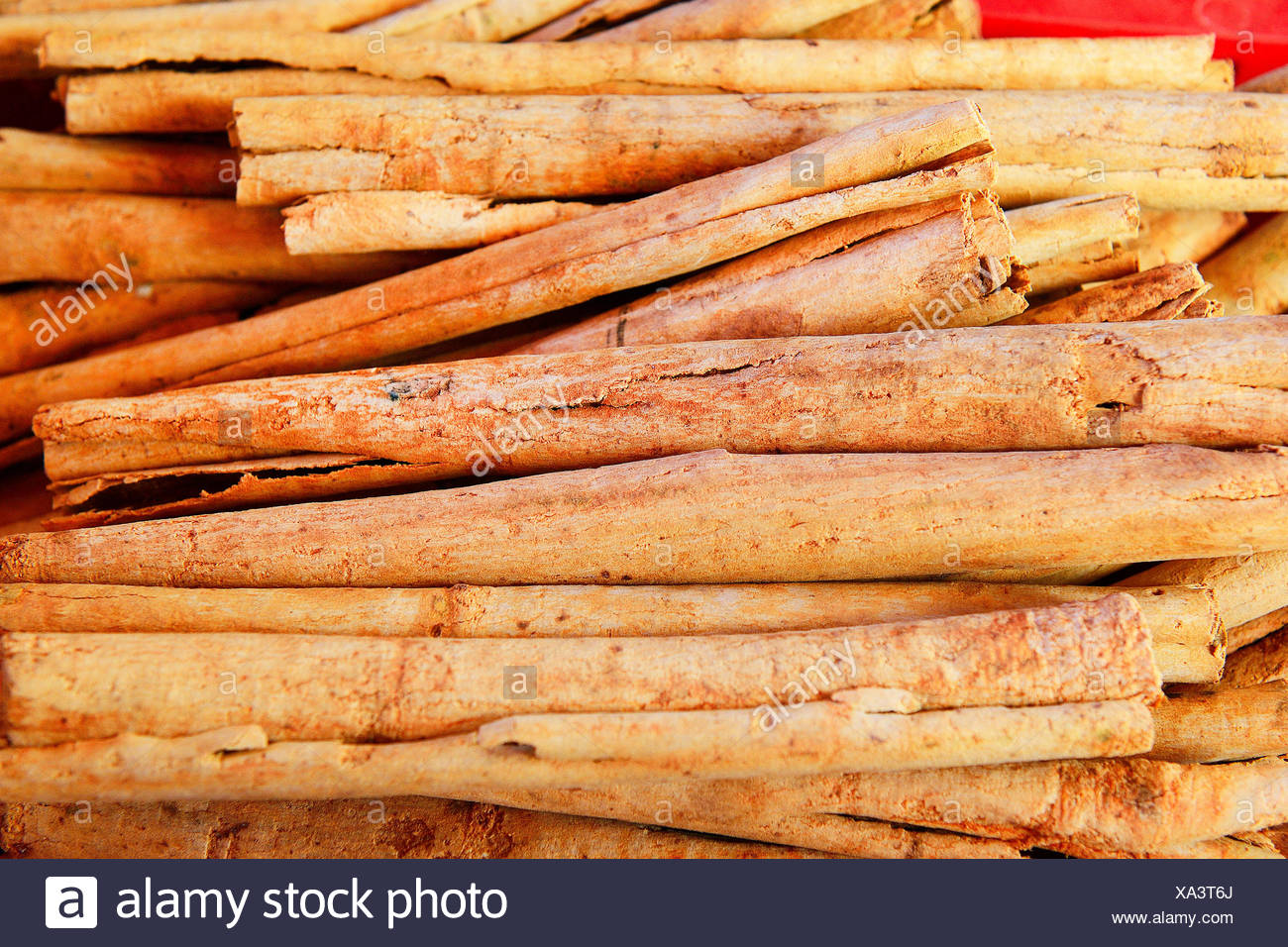 Sir Cinnamon High Resolution Stock Photography and Images - Alamy