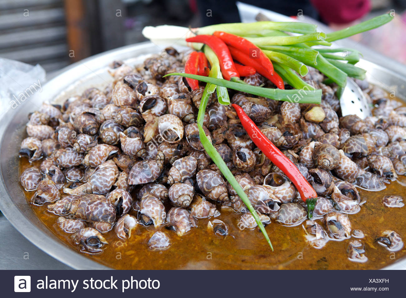 Winkles Stock Photos & Winkles Stock Images - Alamy