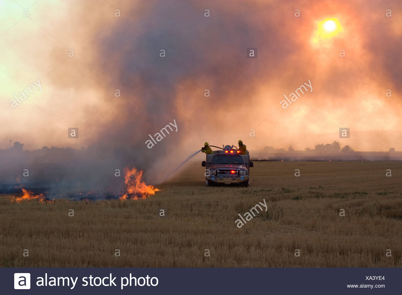Fire Weeds High Resolution Stock Photography and Images - Alamy