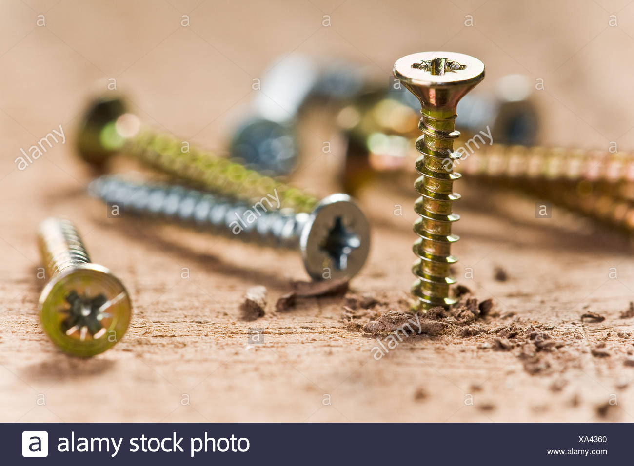 Wood Screw High Resolution Stock Photography and Images - Alamy