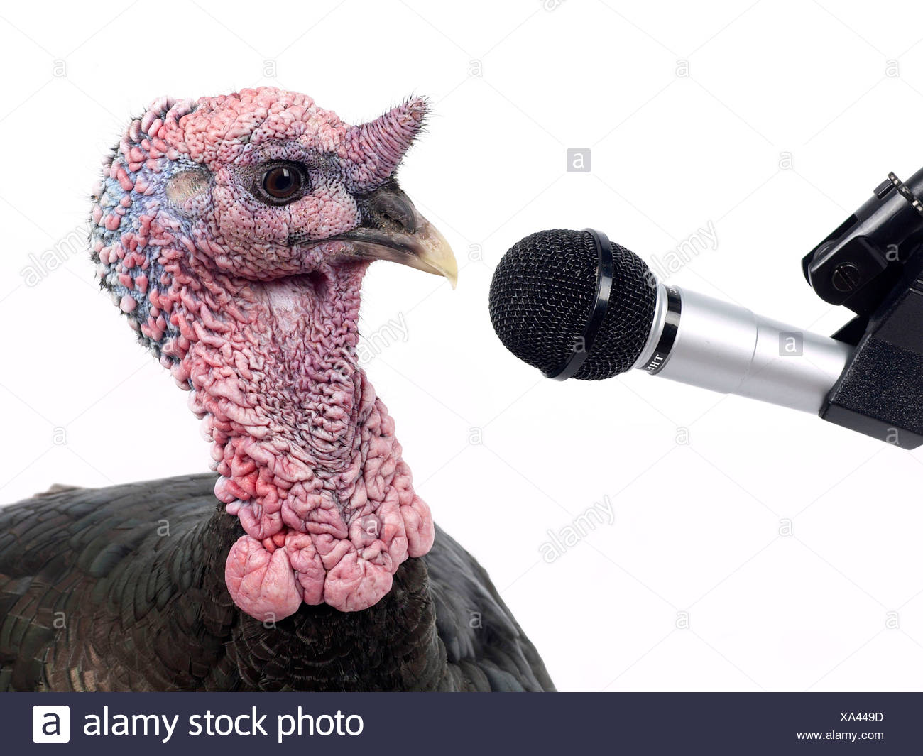 Turkey claims success treating COVID-19 with broad use of drug touted ...