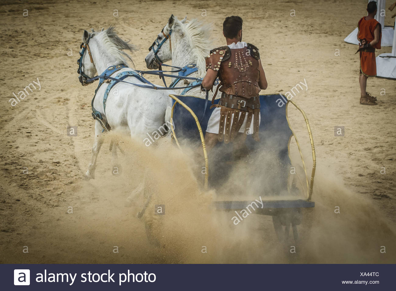 Circus Horses High Resolution Stock Photography and Images - Alamy