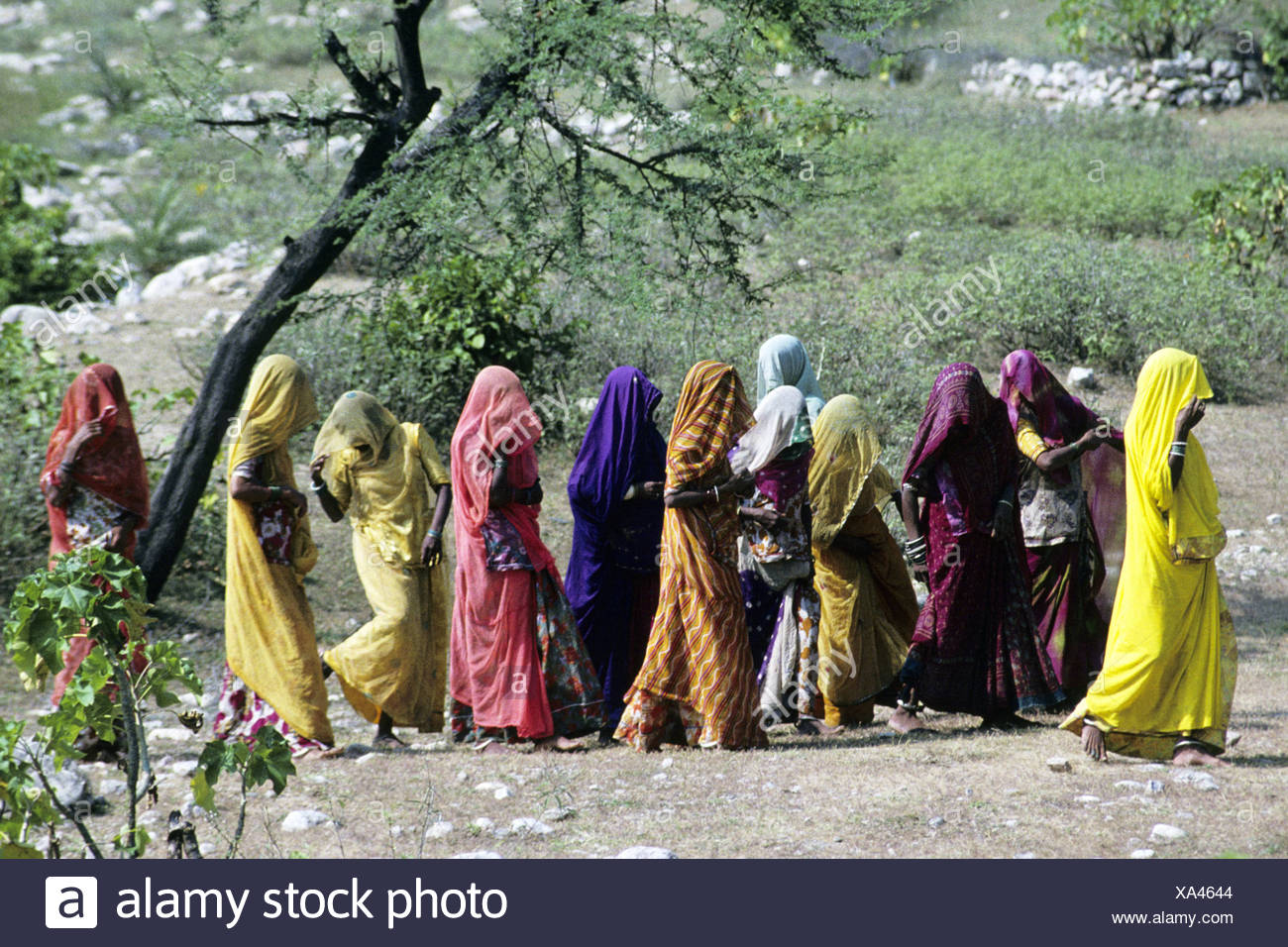 Mourning Veil High Resolution Stock Photography and Images - Alamy