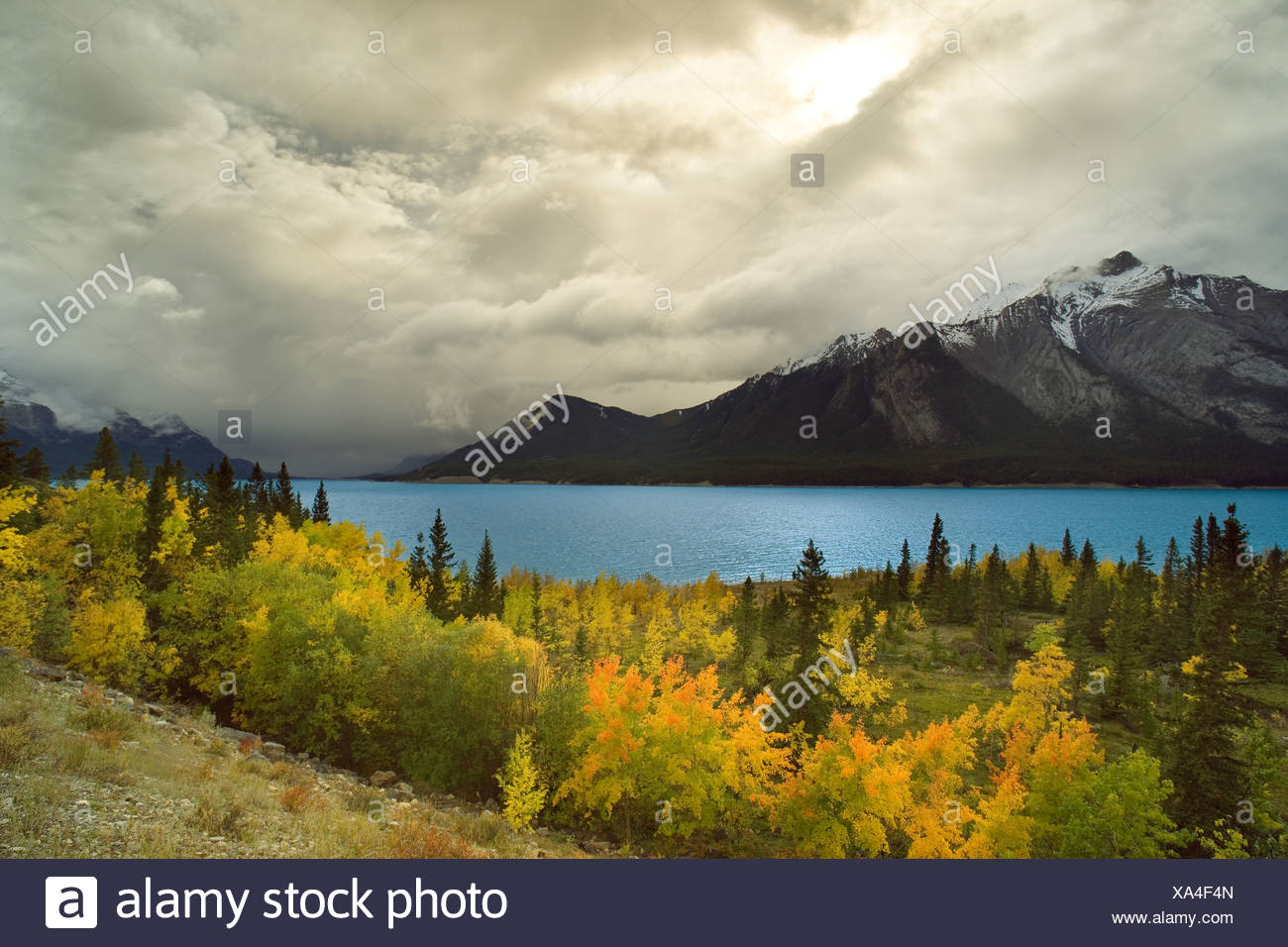 Michener High Resolution Stock Photography and Images - Alamy