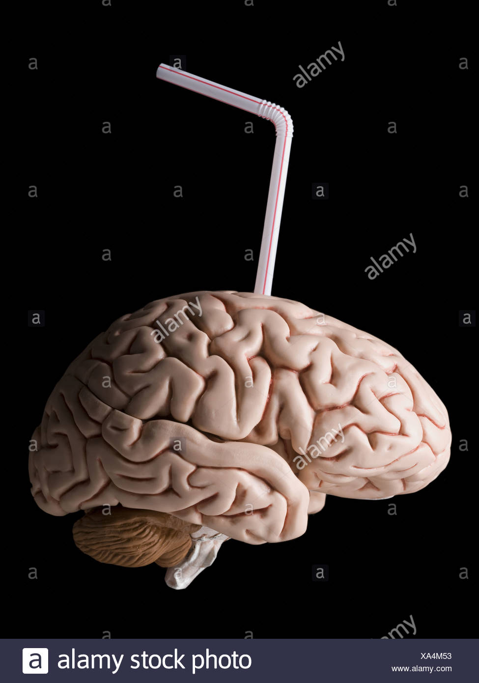 Brain Food High Resolution Stock Photography and Images - Alamy