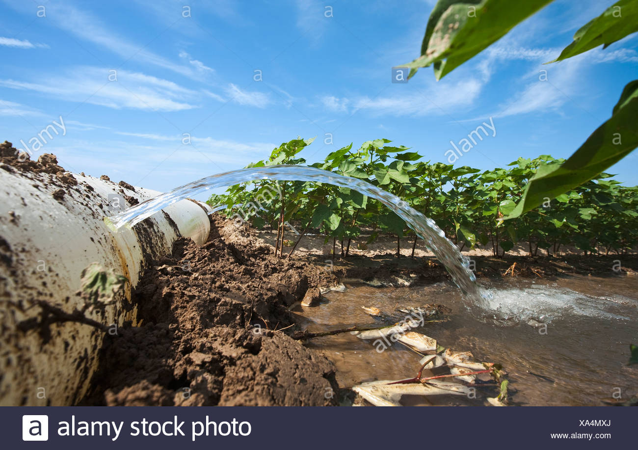 Furrow Irrigation High Resolution Stock Photography and Images - Alamy