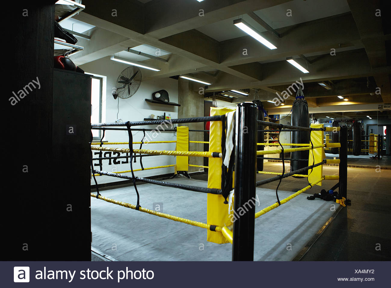 Boxing Ring Empty High Resolution Stock Photography and Images - Alamy