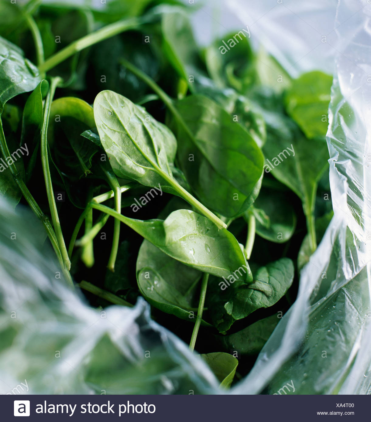 Tetragone High Resolution Stock Photography and Images - Alamy