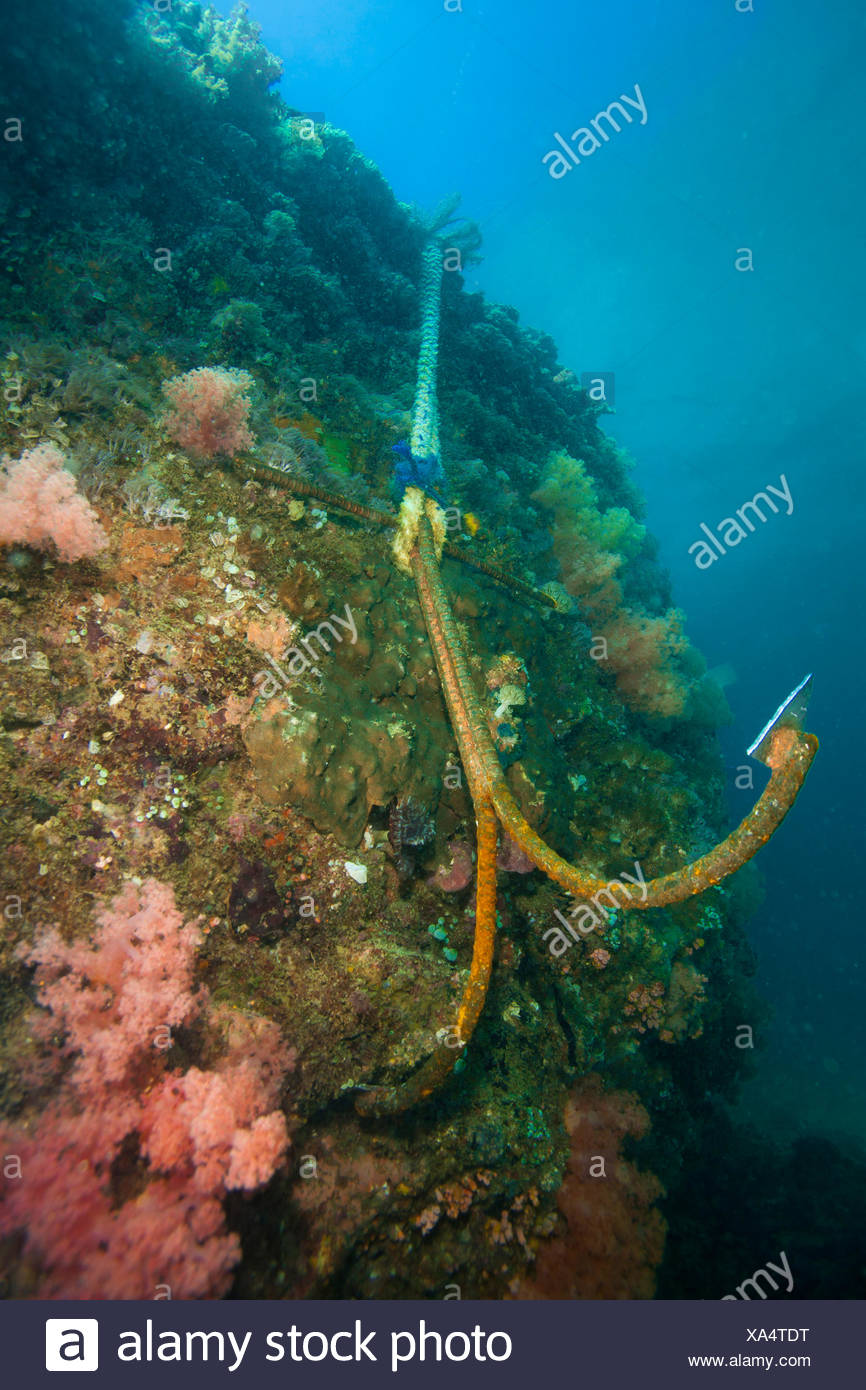 Damage To Coral Reefs High Resolution Stock Photography and Images - Alamy