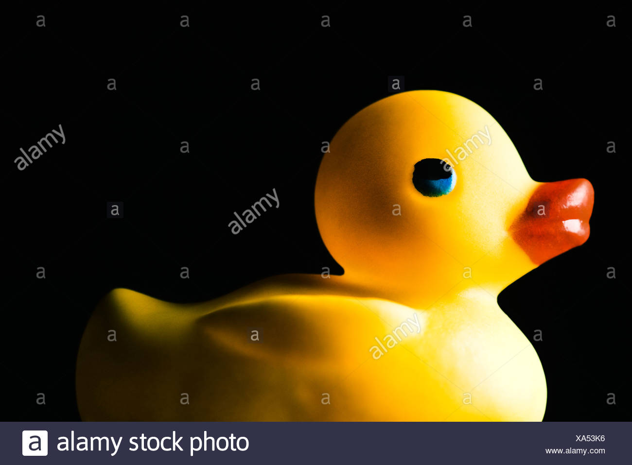 Duckie High Resolution Stock Photography and Images - Alamy