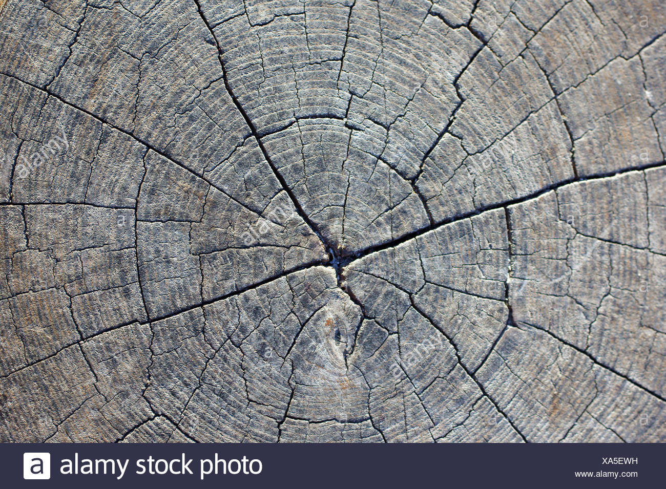 Plan Section High Resolution Stock Photography and Images - Alamy