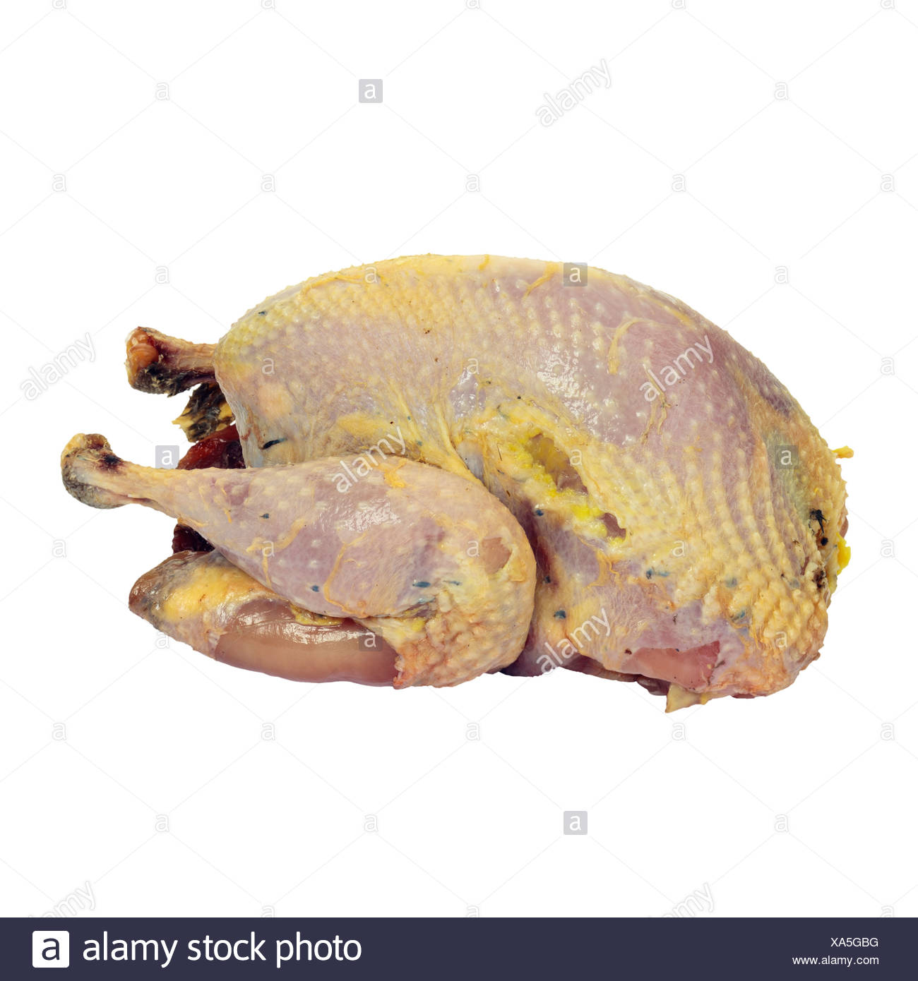 Pheasant Meat High Resolution Stock Photography and Images - Alamy