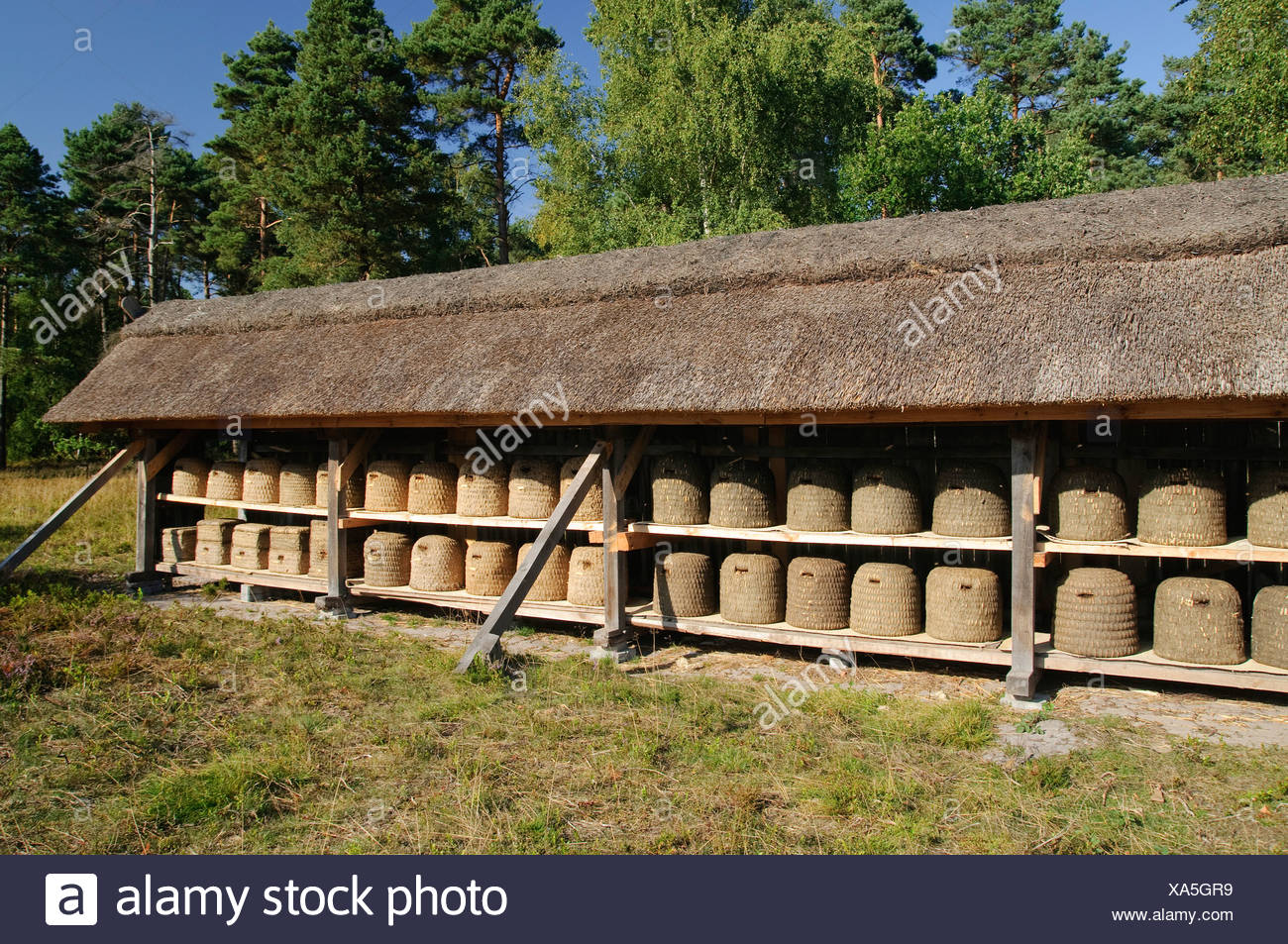 Traditional Beehives High Resolution Stock Photography and Images - Alamy
