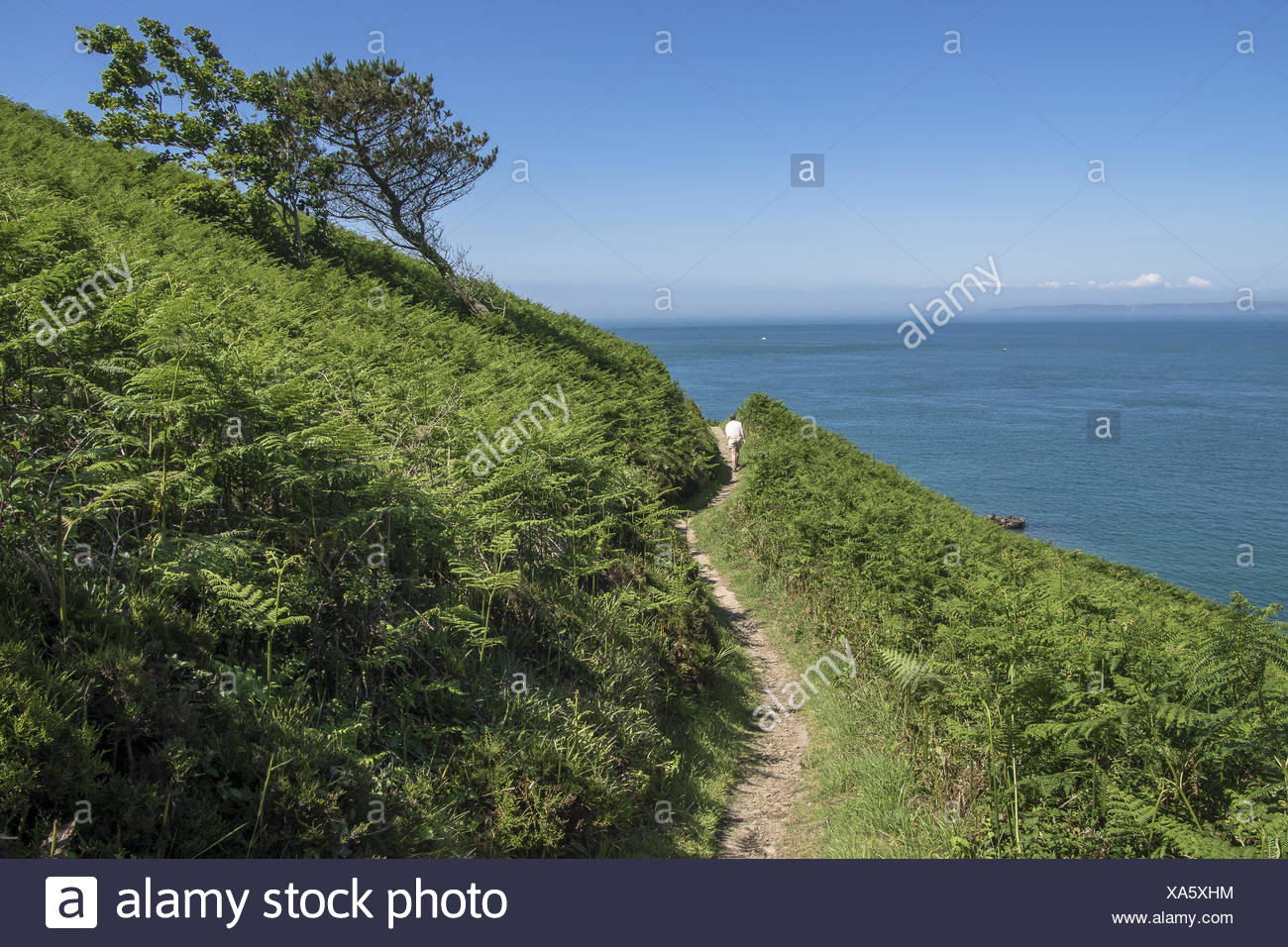 Guernsey Coastal Path High Resolution Stock Photography and Images - Alamy