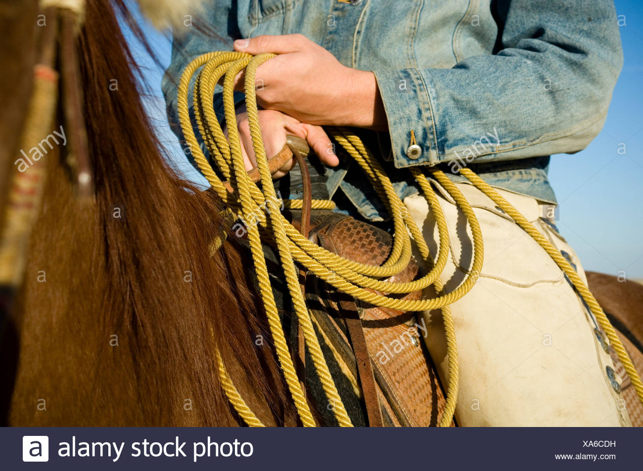 Cowboy Roping Horse Stock Photos & Cowboy Roping Horse Stock Images - Alamy