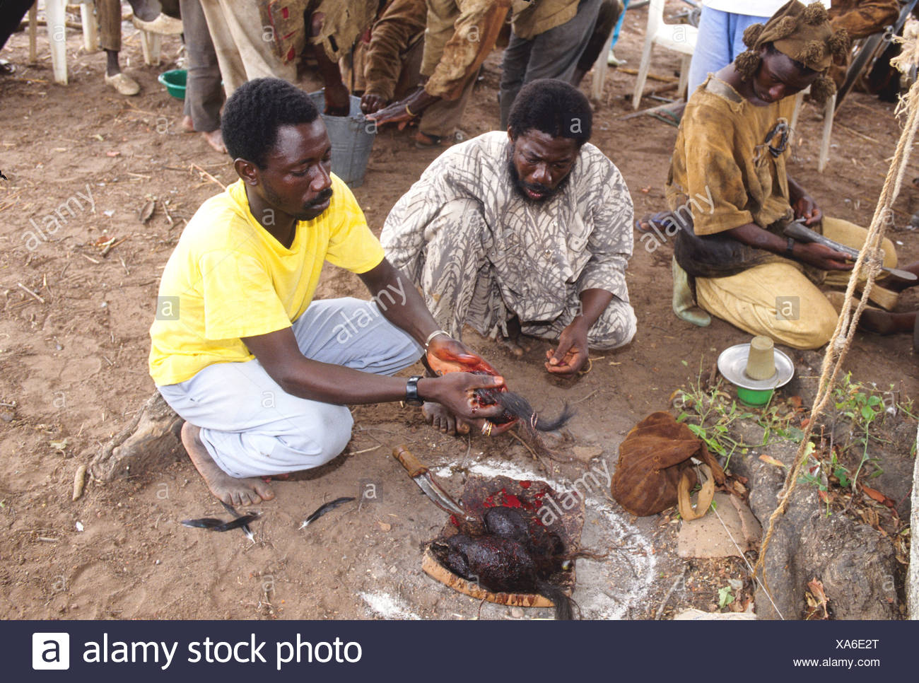 Senufo People High Resolution Stock Photography and Images - Alamy