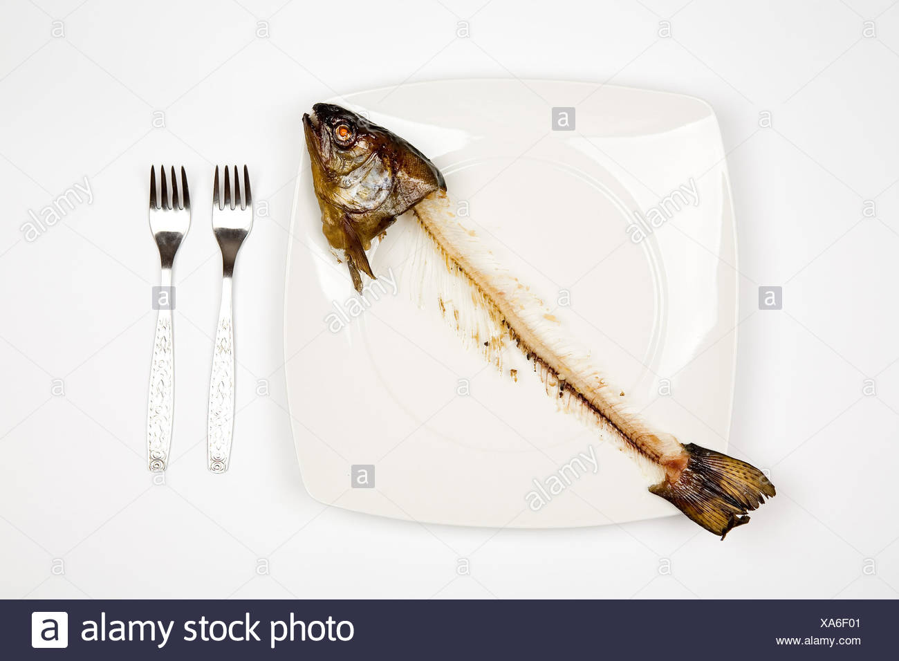 Skeleton Of Salmon High Resolution Stock Photography and Images - Alamy