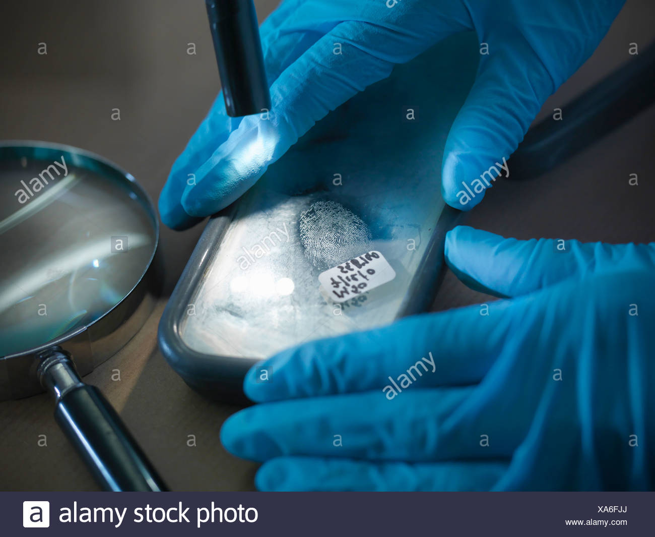 Fingerprint Evidence High Resolution Stock Photography and Images - Alamy
