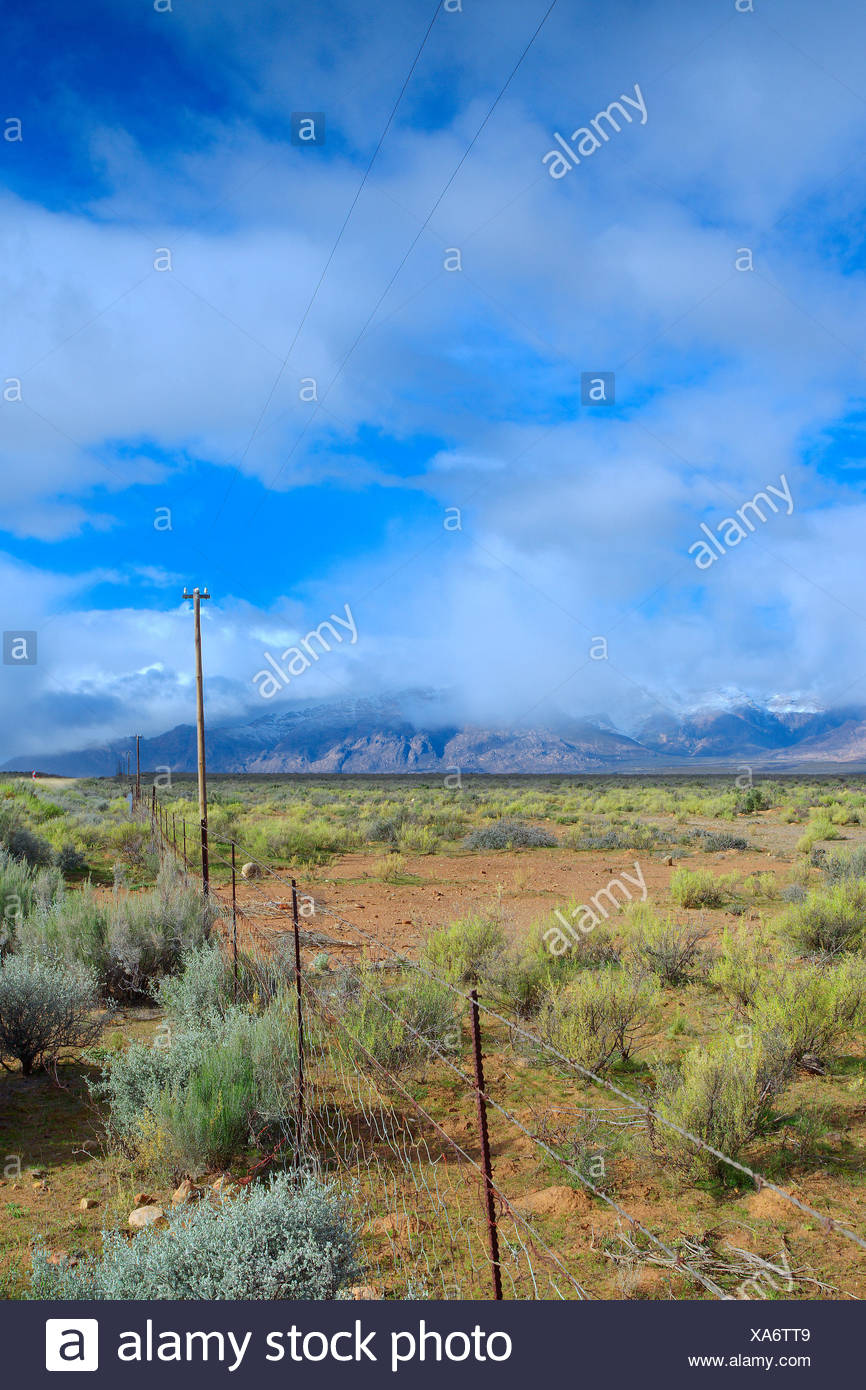 Karoo Desert High Resolution Stock Photography and Images - Alamy