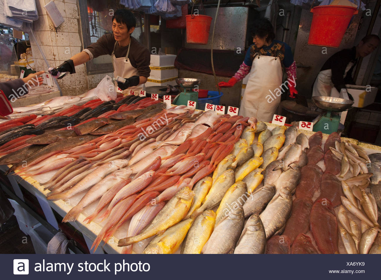 Hong Kong Fish Seller Stock Photos & Hong Kong Fish Seller Stock Images ...