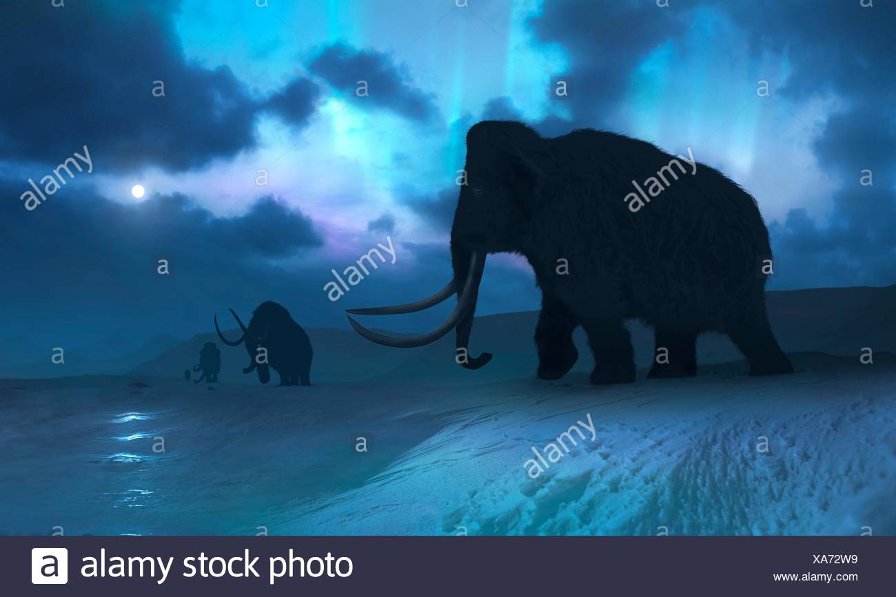 Early Holocene Epoch High Resolution Stock Photography and Images - Alamy