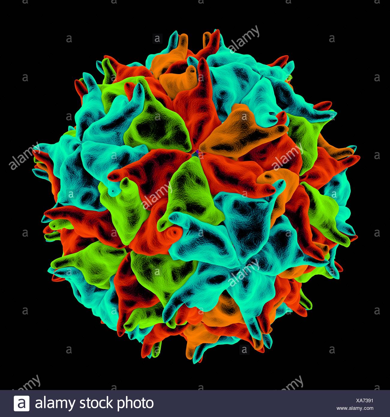 Nodaviridae Stock Photos & Nodaviridae Stock Images - Alamy