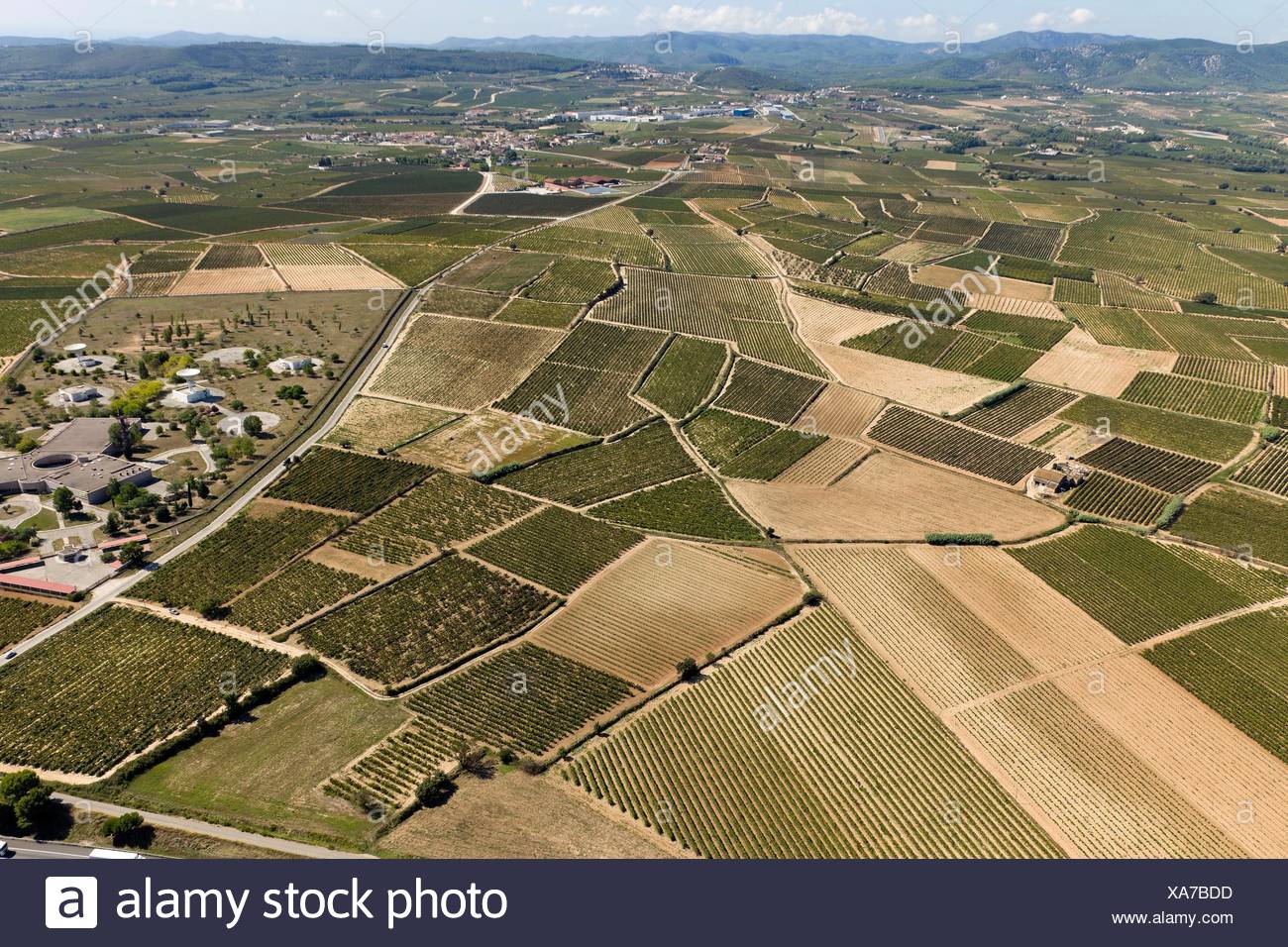 Penedes Stock Photos & Penedes Stock Images - Alamy