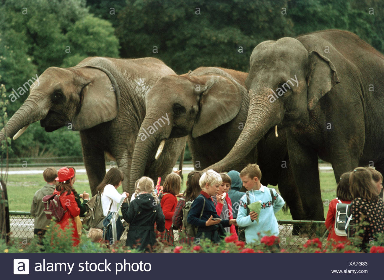 Class Groups High Resolution Stock Photography and Images - Alamy