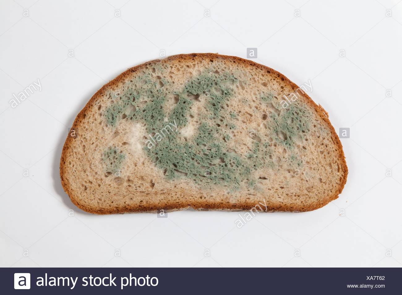 Moldy Bread High Resolution Stock Photography and Images - Alamy